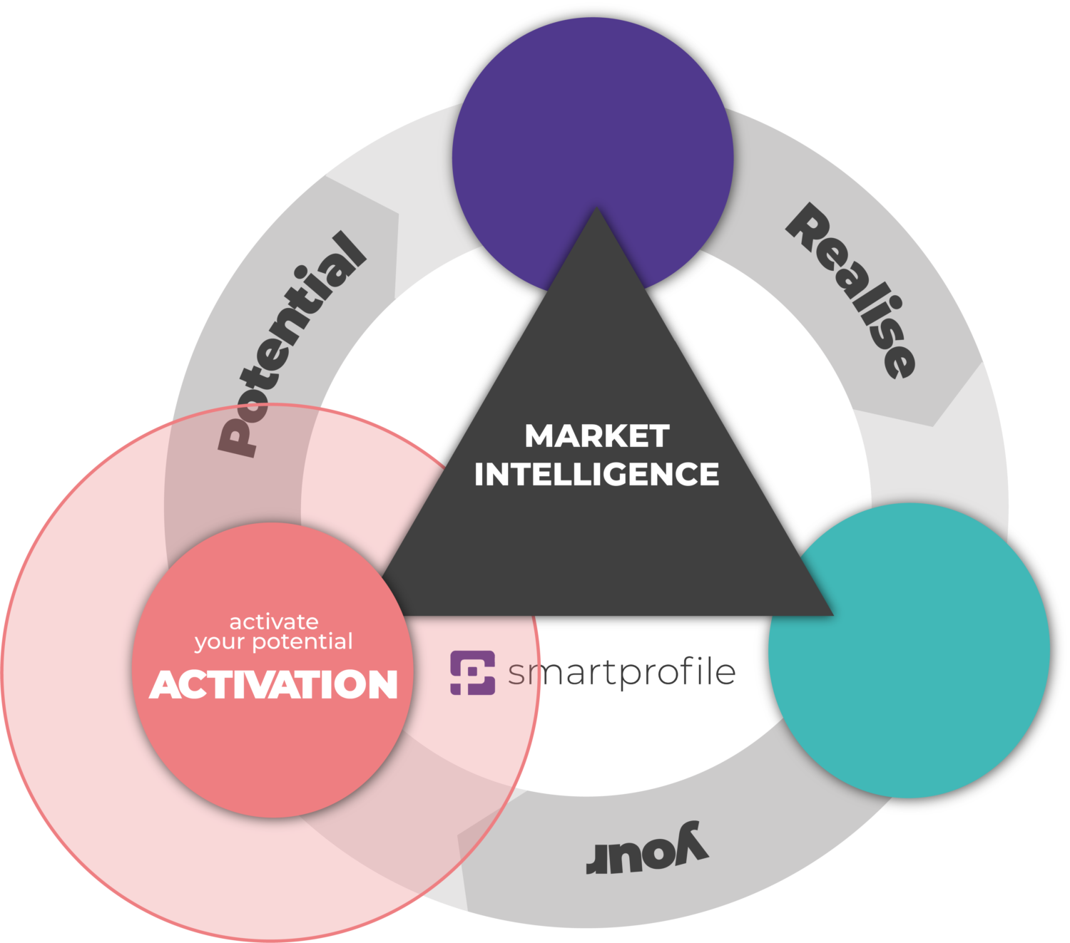 Our process - Smart Profile