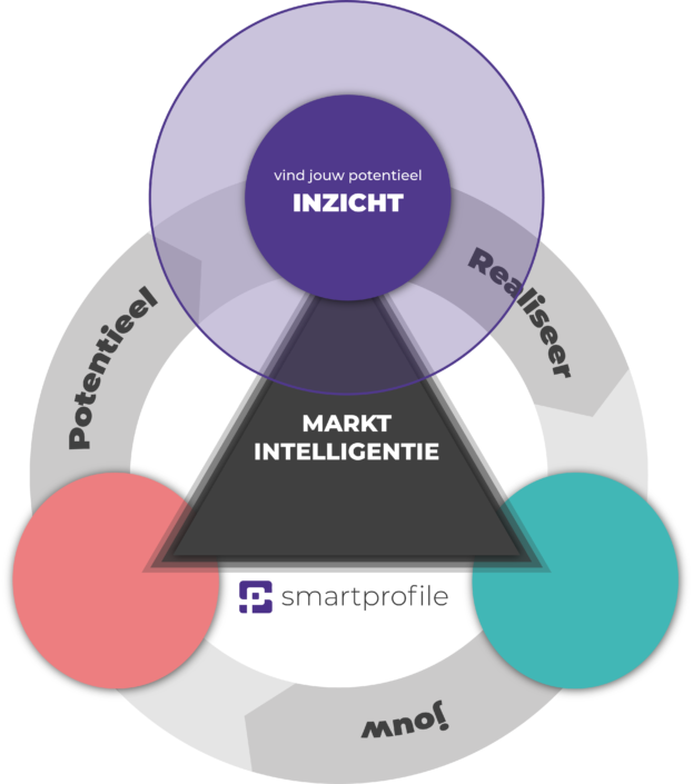 Ons proces - Smart Profile